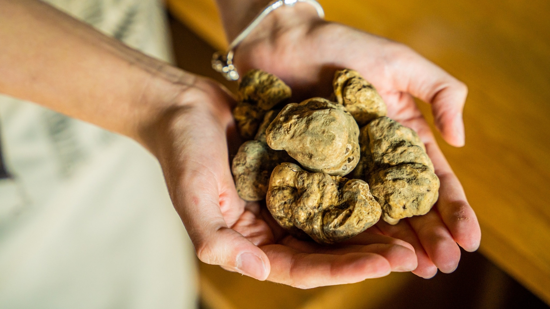 Vikend okusa i mirisa u Buzetu: Festival istarskih tartufa 2024. – KAMPANJA